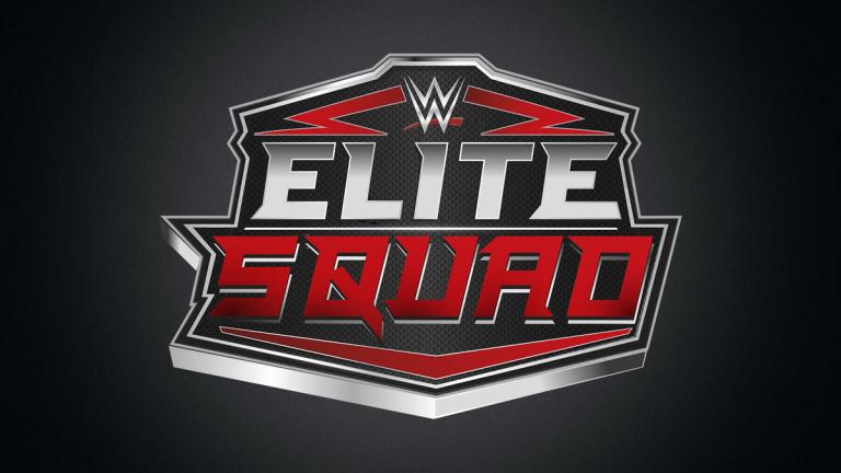 The Best WWE Elite Figures of 2024 – Wrestling Figure News