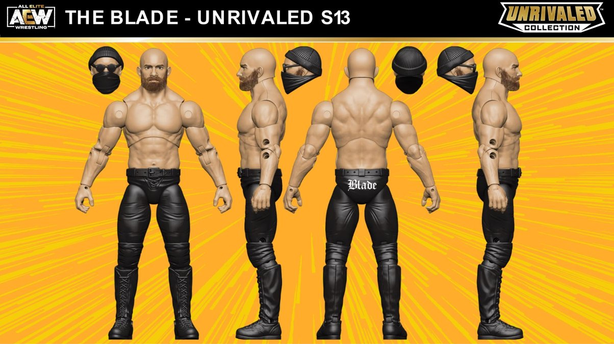AEW Unrivaled 13 Renders: Darby Allin, Sting, Danhausen, Wardlow ...