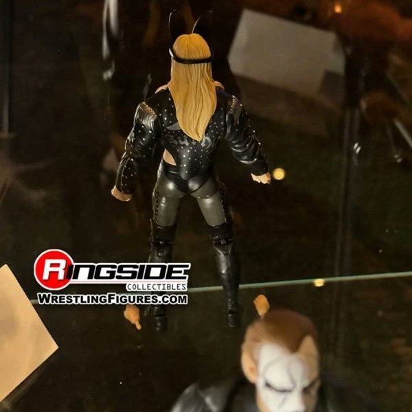 AEW Unrivaled 13 Photos: Danhausen, Sting, Butcher, Blade, & Bunny ...