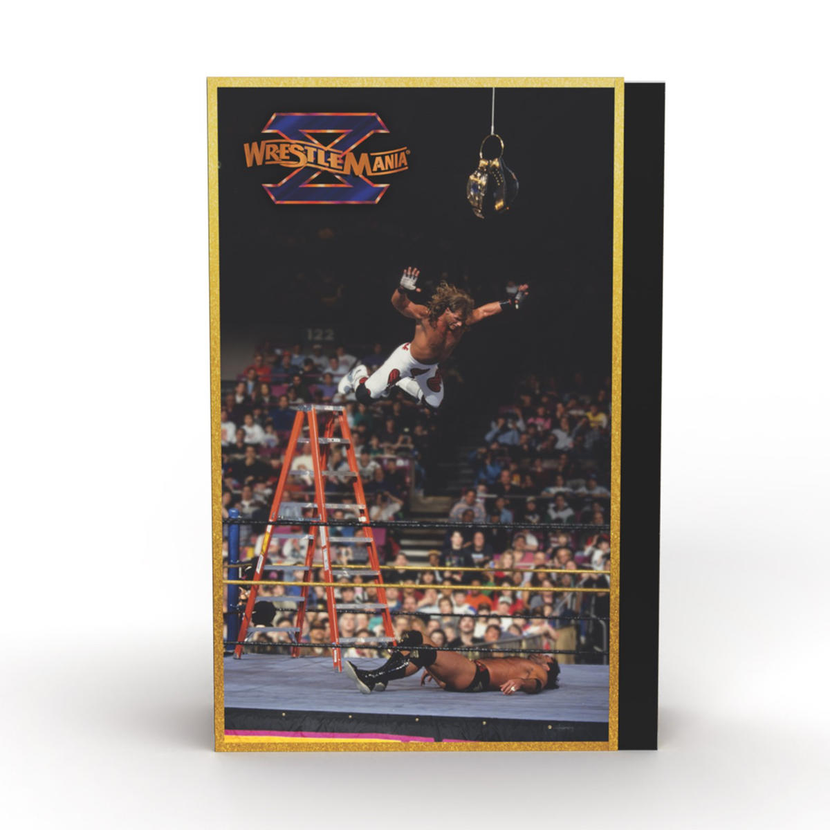 Pre-Order Alert: Shawn Michaels vs. Razor Ramon WWE WrestleMania X 2 ...