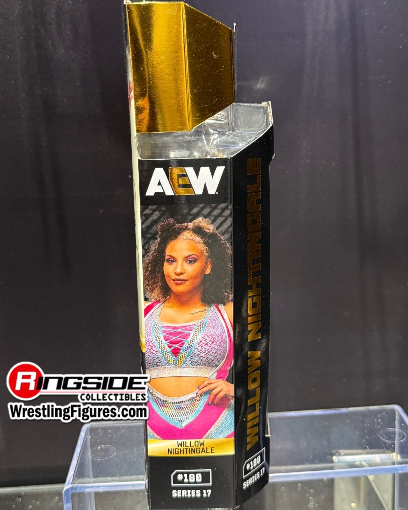 AEW Unrivaled 17 Photos: Christian, Willow, Swerve Strickland ...